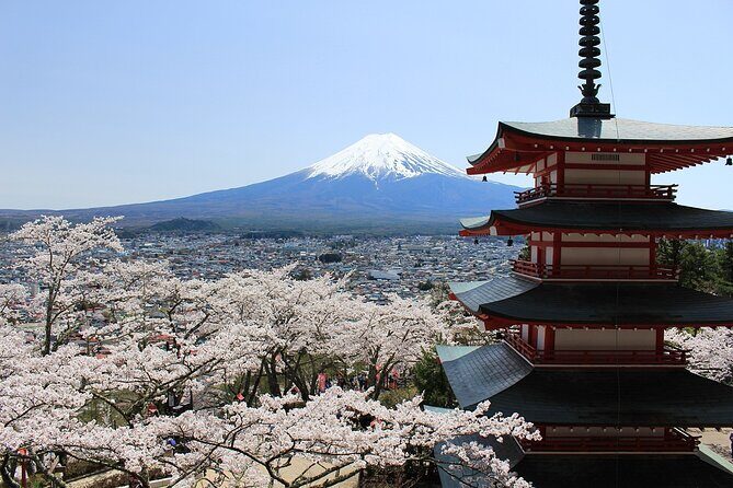 Mt. Fuji Spanish & English tour - The Sum Up: Who Should Consider This Tour?