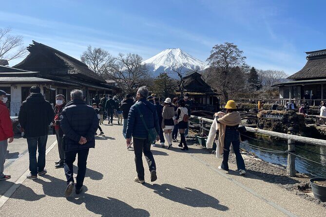 Mt Fuji Tour from Shimizu Port by Private Car - The Value and Pricing