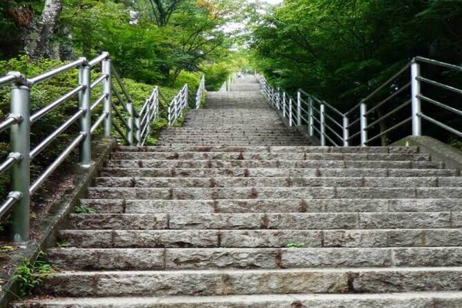 MT FUJI with Private Tour - Value and Practicality