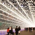 Mt. Gozaisho Ropeway,Nabana no Sato for Illumination and Begonia Garden! - FAQ