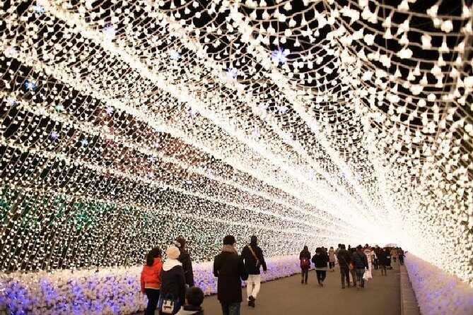 Mt. Gozaisho Ropeway,Nabana no Sato for Illumination and Begonia Garden! - FAQ