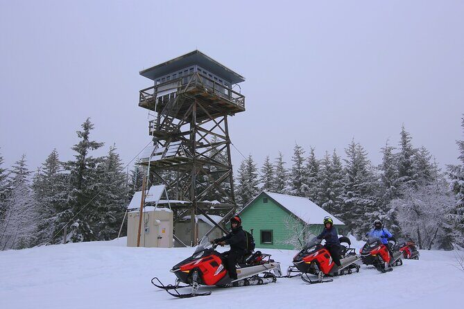 Mt Hood National Forest - 90 Minute Snowmobile Adventure - Who Should Consider This Tour?