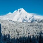 Mt. Hood Winter Wonderland Snowshoe Adventure - Why This Tour Delivers Value