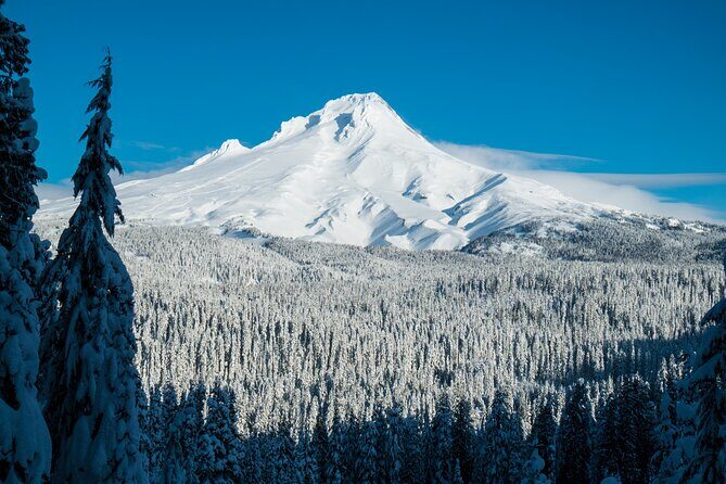 Mt. Hood Winter Wonderland Snowshoe Adventure - Why This Tour Delivers Value