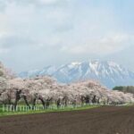 Mt. Iwate Panorama Cycling Tour: Culture and Scenic Views - What the Tour Includes and Excludes