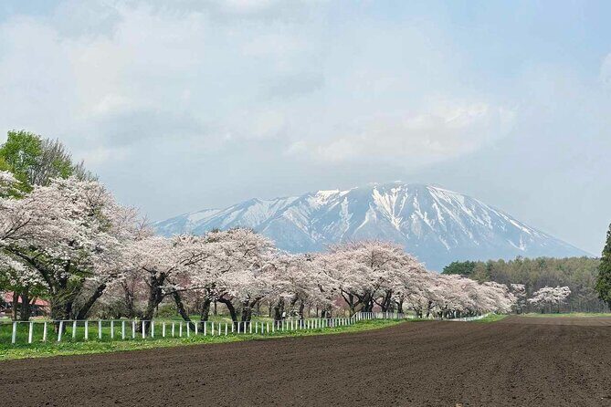 Mt. Iwate Panorama Cycling Tour: Culture and Scenic Views - What the Tour Includes and Excludes