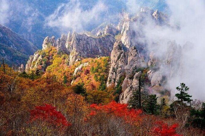 Mt.Seorak & Naksan Temple Day Trip from Seoul - Why This Tour Is a Great Choice