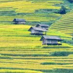 Mu Cang Chai Full Day Trekking Tour - Final Thoughts: Is This Tour Right for You?