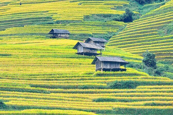 Mu Cang Chai Full Day Trekking Tour - Final Thoughts: Is This Tour Right for You?