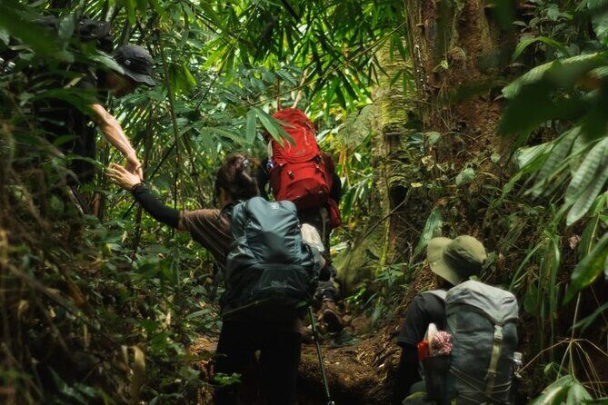 Mua Bay Binh Thuan 11 Miles Trekk From Sai Gon - Real Traveler Feedback and Insights