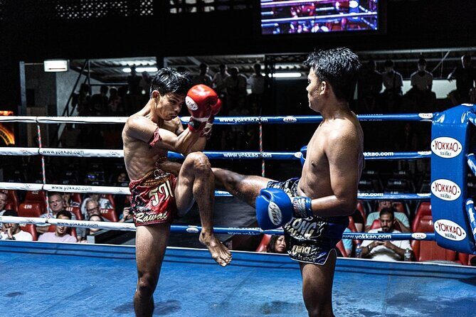 Muay Thai Warrior Night at Patong Boxing Stadium from Phuket - What Are the Drawbacks?