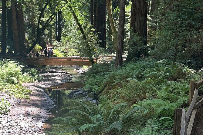 Muir Woods and Sausalito Tour 5 Hours of Natural Beauty - Authentic Experiences: What Real Travelers Say