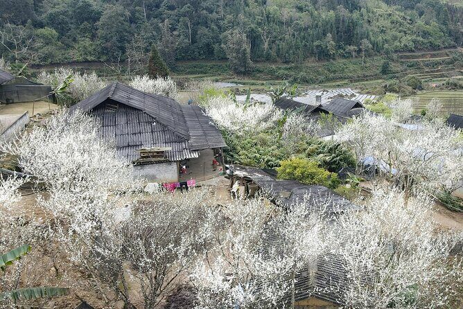 Multi Day Hidden Village in Sapa Town Tour - Day 2: Trekking and Remote Villages