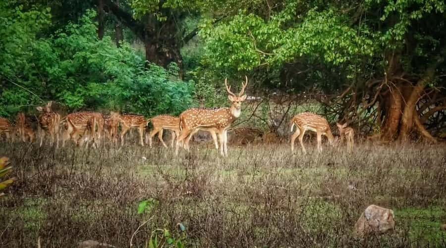 Mumbai : Private Sightseeing & Ancient Kanheri Caves - Exploring Mumbai’s Highlights