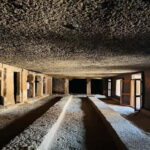 Mumbai SGNP : Kanheri Caves, Safari & Jain Temple Tour - Detailed Breakdown of the Itinerary