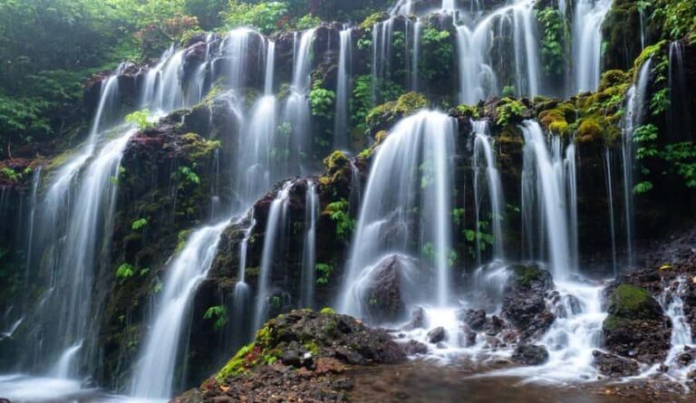 Munduk: Banyu Wana and Sekumpul Waterfall Trekking Tour - Transport and Duration