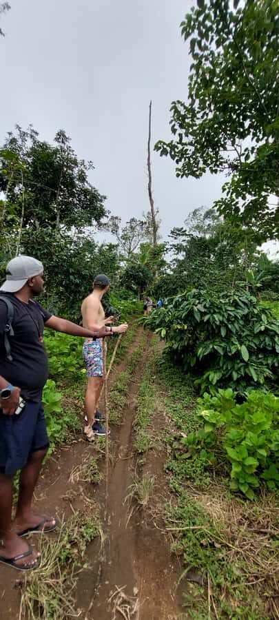 Munduk: Banyumala Twin Waterfall Jungle Trek, Swim & Lunch - Exploring North Bali’s Hidden Gems