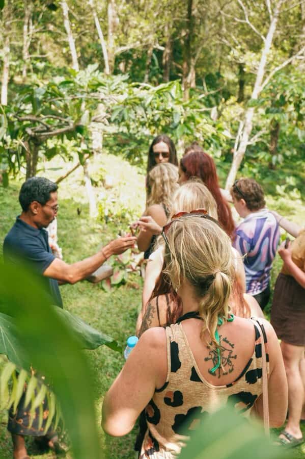 Munduk : Coffee Plantation Tour and Bamboo Weaving Class - Practical Details and Logistics