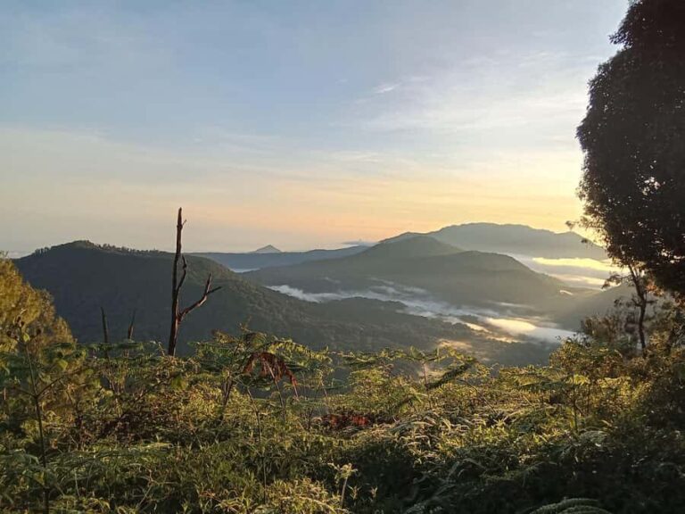 Munduk: Mount Shangyang Trek with Local Guide - An In-Depth Look at the Mount Shangyang Trek