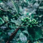 Munduk: Regenerative Roots Permaculture Farm Tour - Authentic Experiences, Not Just Sightseeing