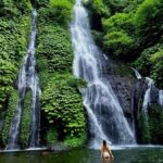 Munduk : Trekking, Banyumala waterfall & Tamblingan Temple - The Value of This Tour