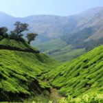 Munnar Private Day Trip - Authentic Experiences and Practical Details