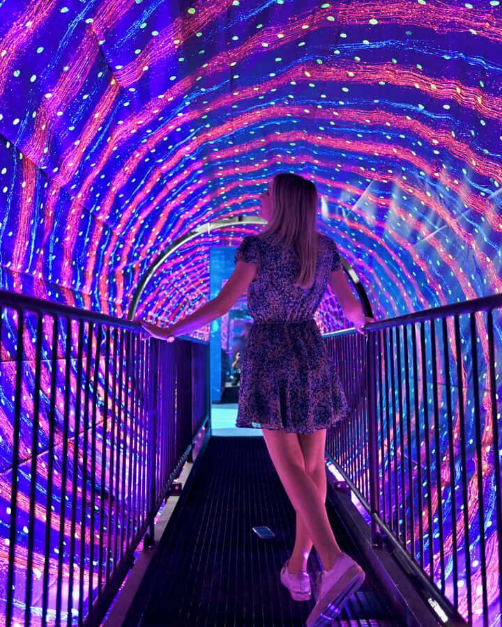 Museum of Illusions Entry Ticket - The Sum Up