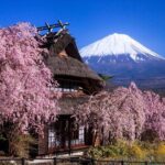 Muslim Friendly Mt. Fuji Tour with Halal Lunch and Prayer Time - Transportation, Comfort, and Accessibility