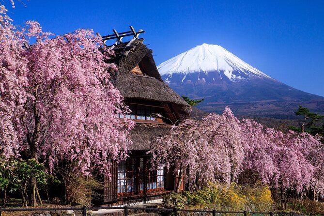Muslim Friendly Mt. Fuji Tour with Halal Lunch and Prayer Time - Transportation, Comfort, and Accessibility