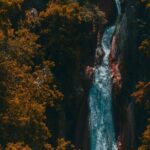 Mussoorie City Full Day Guided Tour - Authentic Perspectives from Reviews