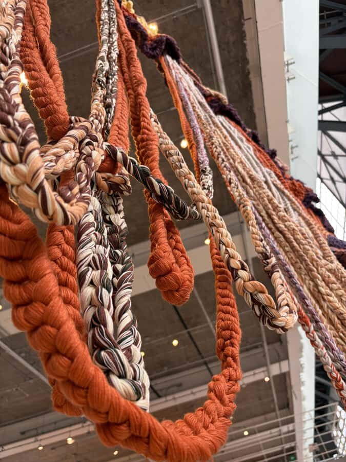 MX: Vasconcelos Library & Santa María la Ribera Neighborhood - Why This Tour Works for Different Travelers