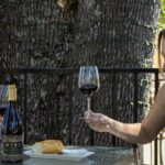 Myka Estates Wine Tasting Reservation - Breaking Down the Experience: What Makes It Worthwhile