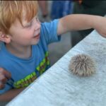 Myrtle Beach: Dolphin & Sealife Cruise, Great For All Ages! - The Itinerary: What to Expect on Your Cruise