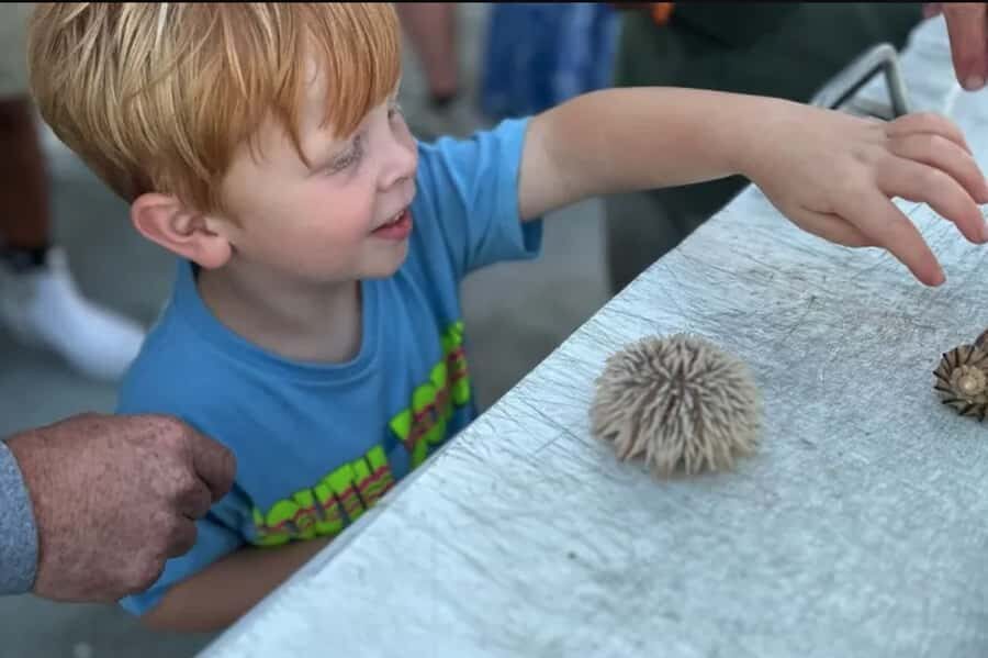 Myrtle Beach: Dolphin & Sealife Cruise, Great For All Ages! - The Itinerary: What to Expect on Your Cruise