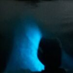 Mystic Waters A Bioluminescent Night Tour - Who Will Get the Most Out of This Tour?