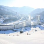 Naeba Express Bus - From/To Narita Airport and Tokyo Station - Who Will Love This Service?