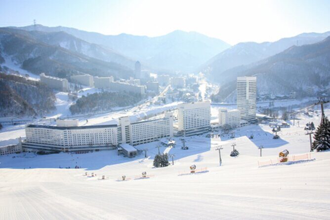 Naeba Express Bus - From/To Narita Airport and Tokyo Station - Who Will Love This Service?