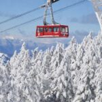 Nagano: 4-Hour Silent Snowshoe Tour + Onsen & Izakaya - Discovering Nagano’s Winter Tranquility