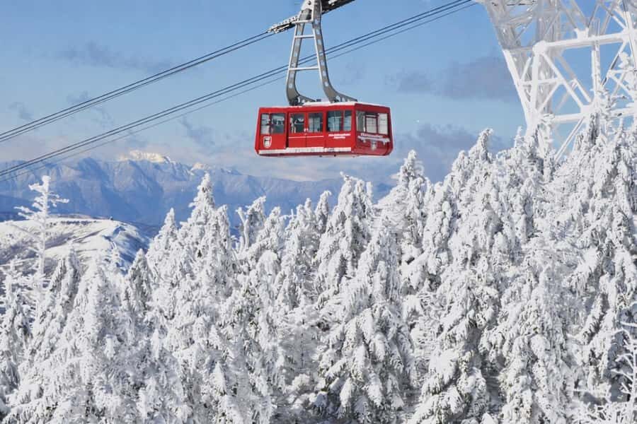 Nagano: 4-Hour Silent Snowshoe Tour + Onsen & Izakaya - Discovering Nagano’s Winter Tranquility