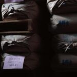 Nagano: Daishinshu Sake Brewery Tour and Tasting - Who Will Love This Tour?