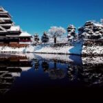Nagano Day Tour from Tokyo Zenko Ji Temple and Snow Monkeys - Who Is This Tour Best For?