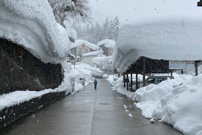 Nagano Highlights Snow Monkeys Nozawa Onsen and Zenkoji Temple - Transportation and Logistics