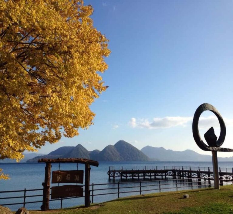 Nagano: Nikko Private Full-day Tour with Temples & Shrines - Why This Tour Offers Great Value