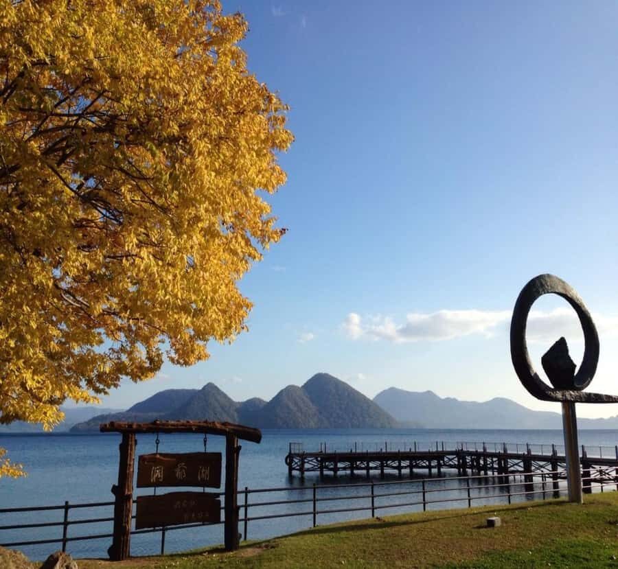 Nagano: Nikko Private Full-day Tour with Temples & Shrines - Why This Tour Offers Great Value