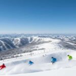 Nagano: Snow Monkey Park and Shiga Kogen Day Trip - Scenic Drive Through Shiga Kogen