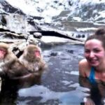 Nagano Snow Monkey & Zenkoji Private Customizable Tour - Who Will Love This Tour?