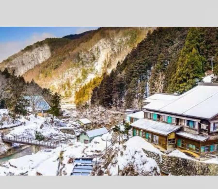 Nagano & Tokyo: Snow Monkey Private Customizable Day Tour - The Practicalities: What Makes This Tour Stand Out