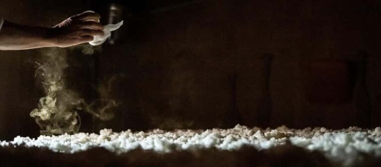 Nagaoka : Hasegawa Sake Brewery Tour and Tasting - Practical Details and Value