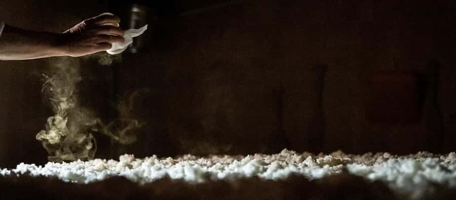 Nagaoka : Hasegawa Sake Brewery Tour and Tasting - Practical Details and Value