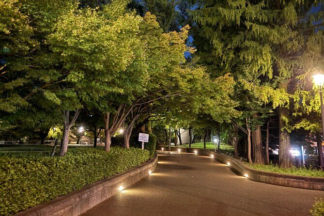 Nagasaki Night Tour - How the Tour Feels in Practice